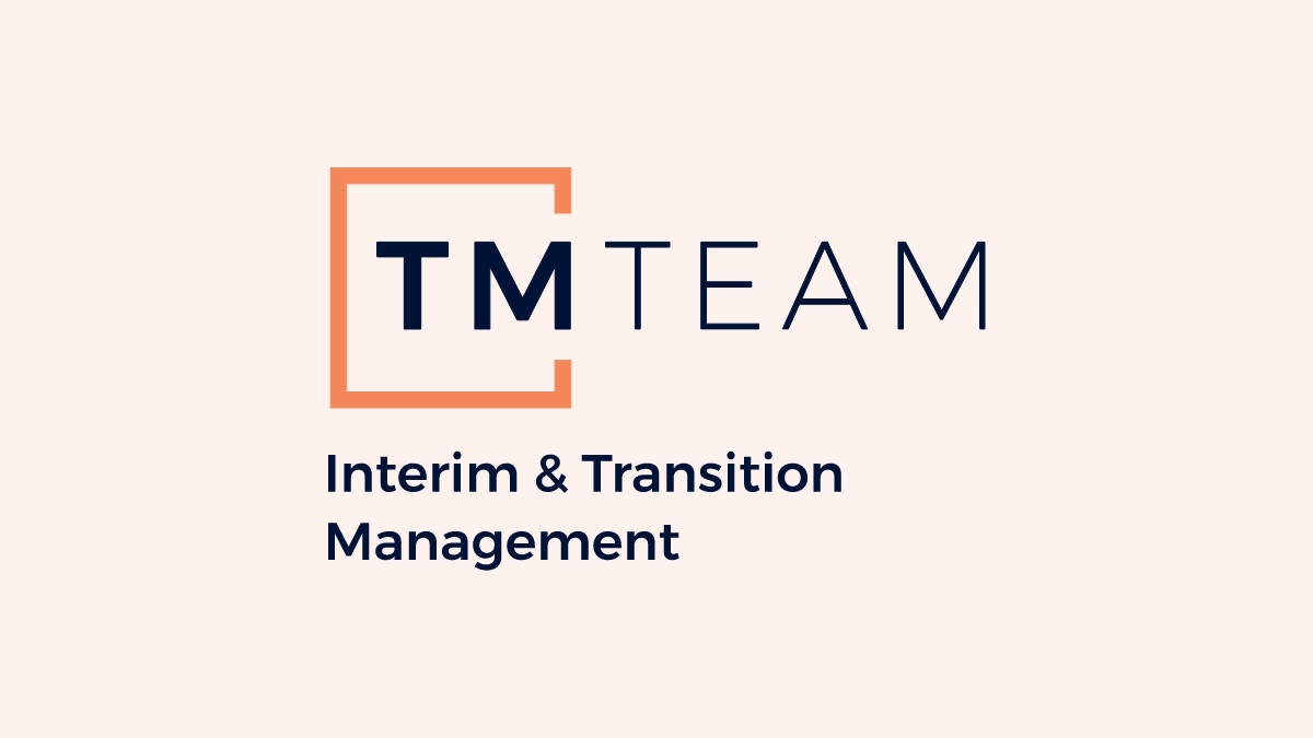 Blog — TMTEAM Interim & Transition Management